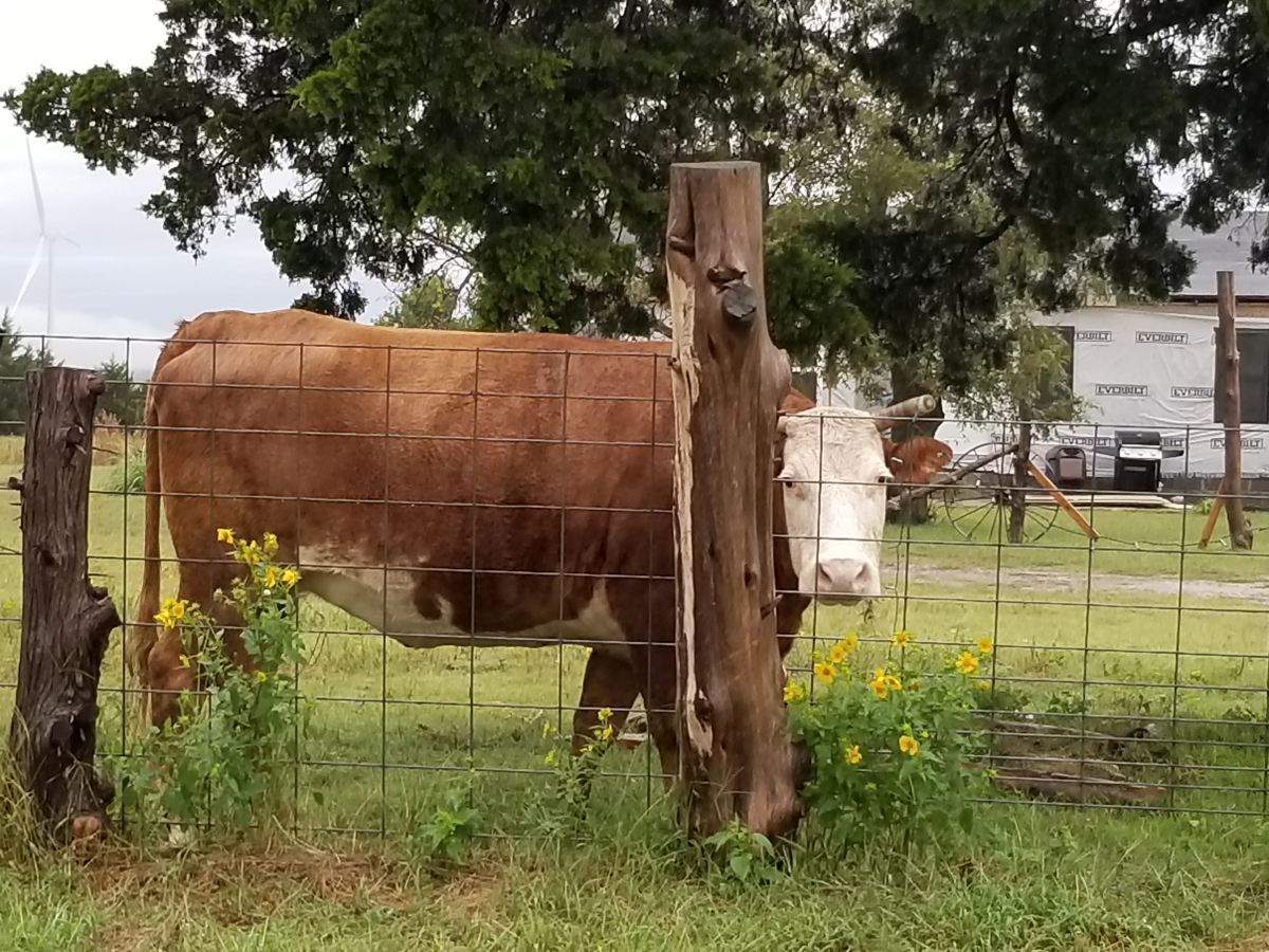 The CRAAP Test: Your Best Friend for Making Really Good Decisions [RGDs ...